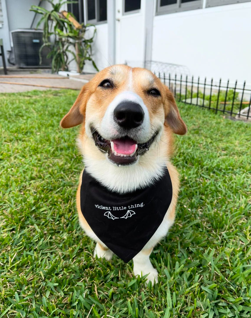 Violent Little Thing – arlowandco